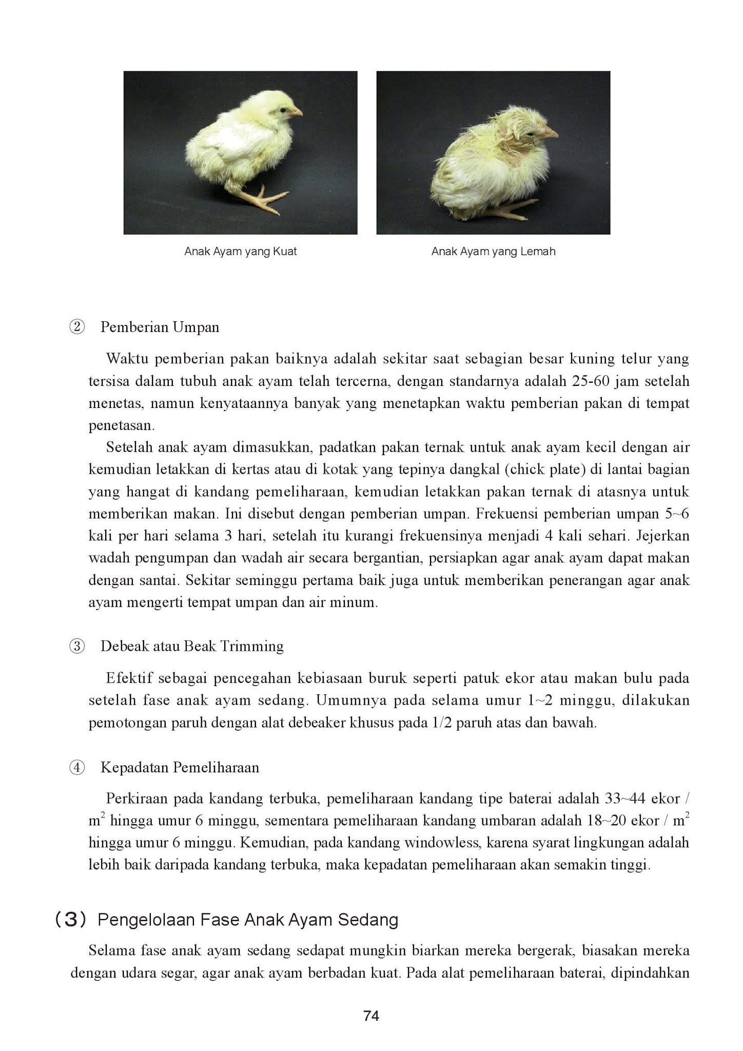 PETERNAKAN BAHASA INDONESIA