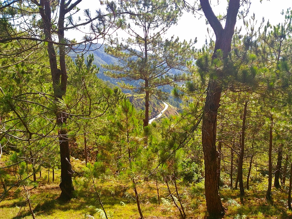 Hiking Mount Ulap at the Most Opportune Time - Nomadic Experiences