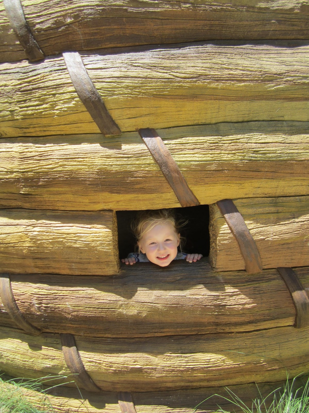 The Cox Family Tree is Growing!: The Zoo!