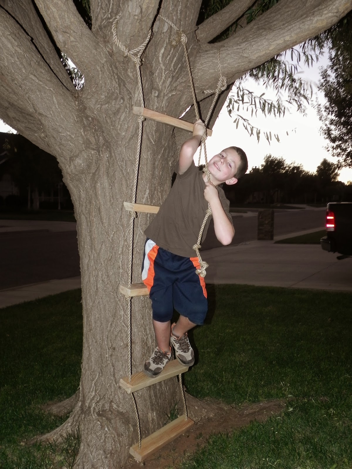 The Ward Crew (continued)............: CJ's Tree Ladder