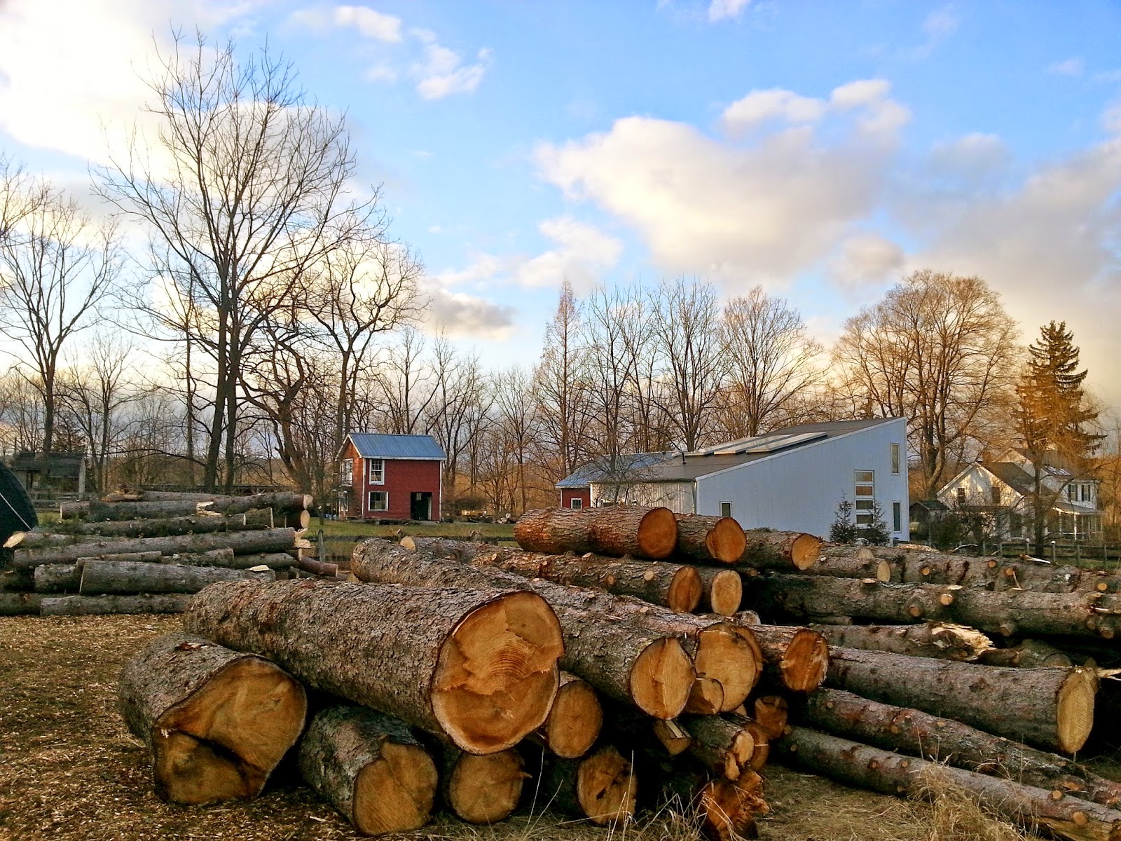 Wood-Mizer LLC: Salvaging Urban Wood with a Wood-Mizer Sawmill