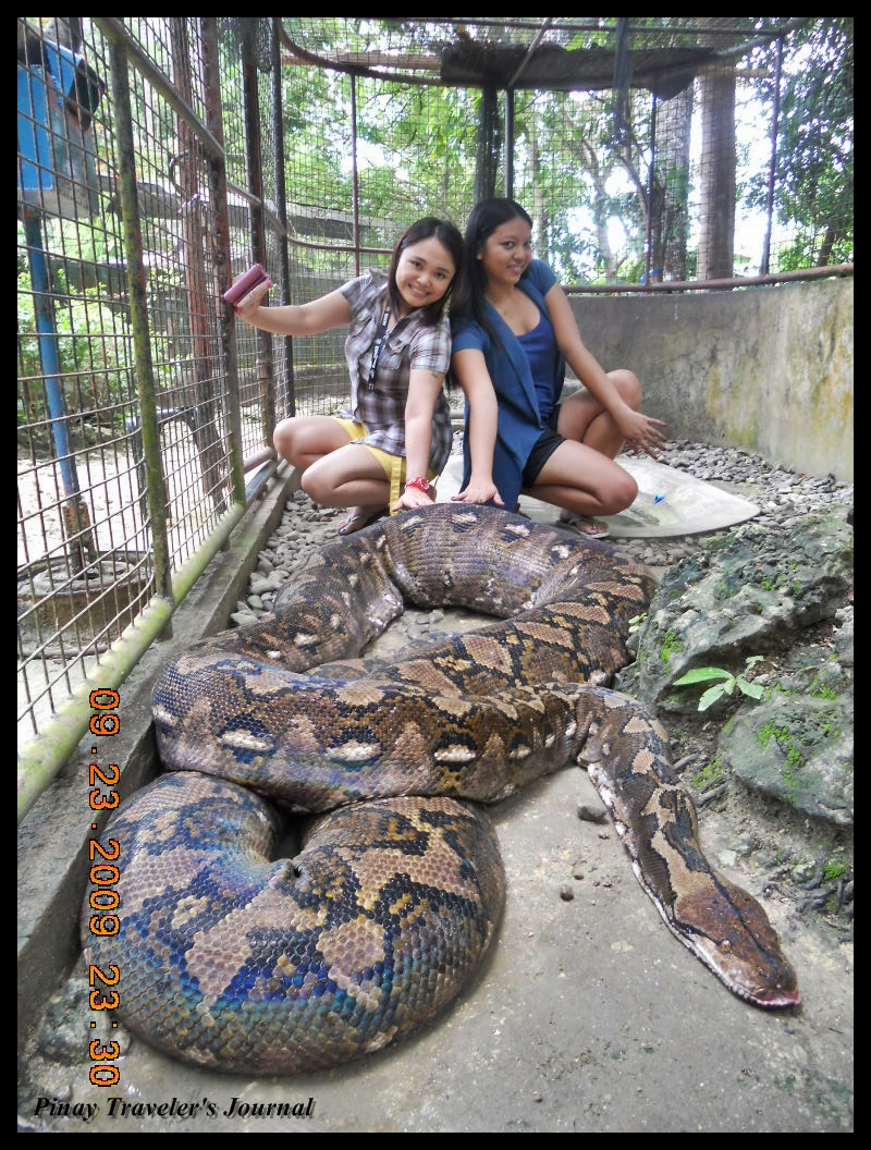 Wanderful Pinay: Buwis Buhay Photos | Frolics in Bohol