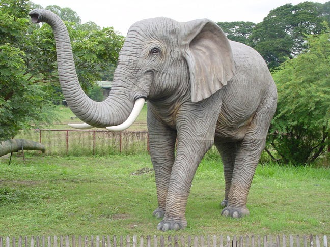 DUNIA BINATANG: Gajah