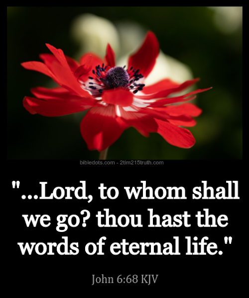 2 Timothy 2:15 Truth: Verse of the Day: John 6:68 KJV