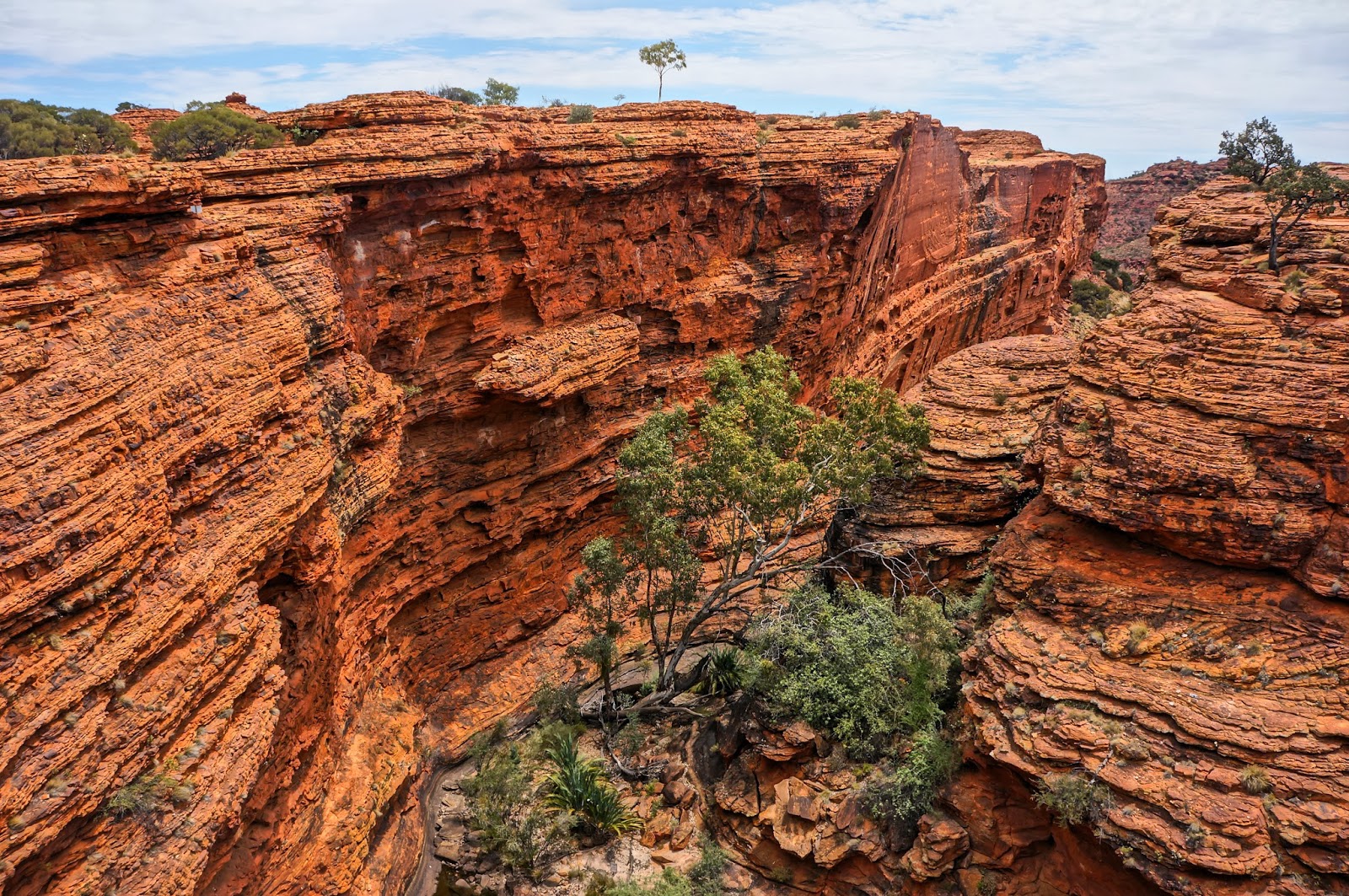 Austrasian Trip: Le caillou rouge au milieu du désert