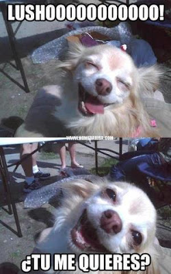 ¿Quién es Lucho? - Mundo Feliz