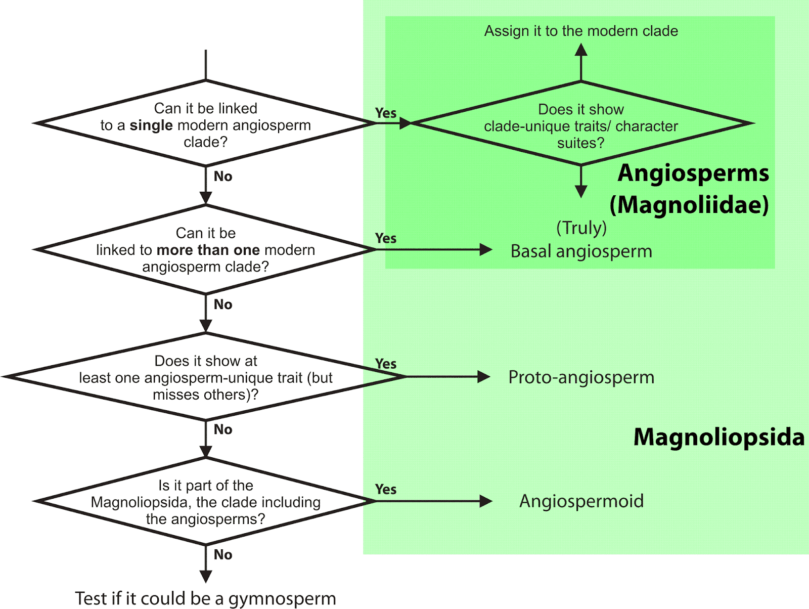 Res.I.P. – an unprofessional science (and other things) blog: What is ...