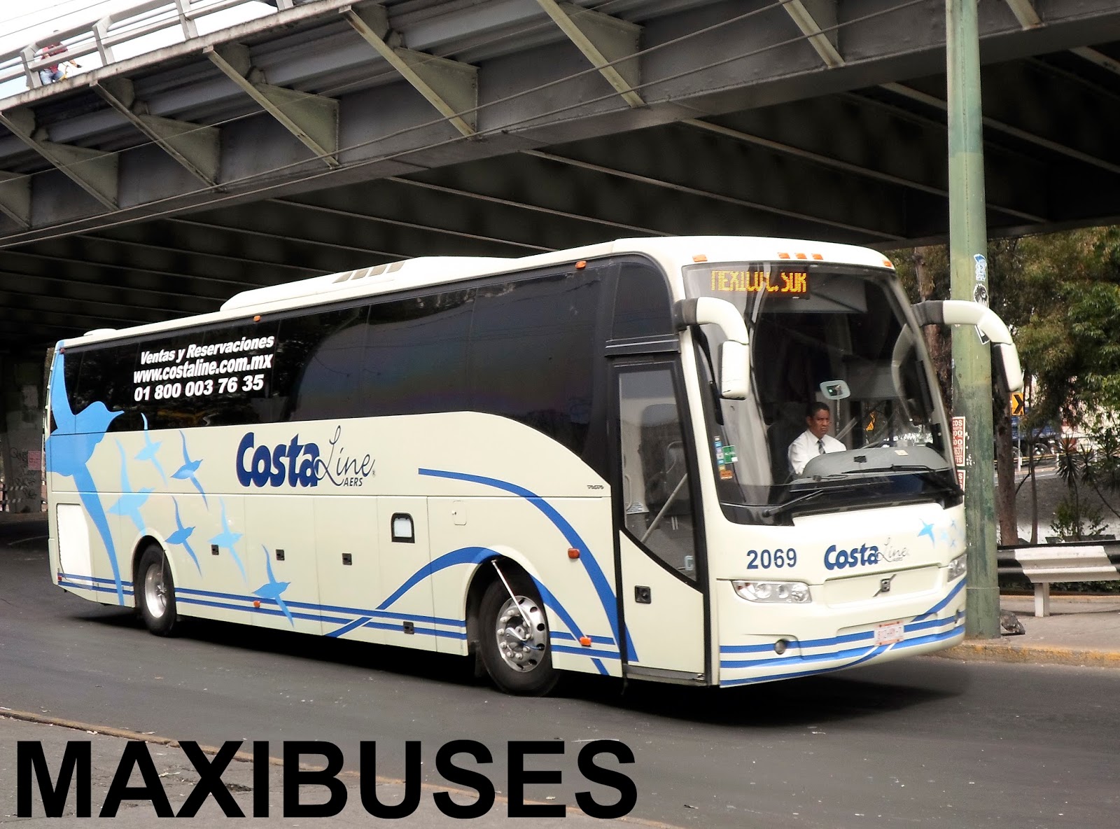 MAXIBUSES: COSTA LINE