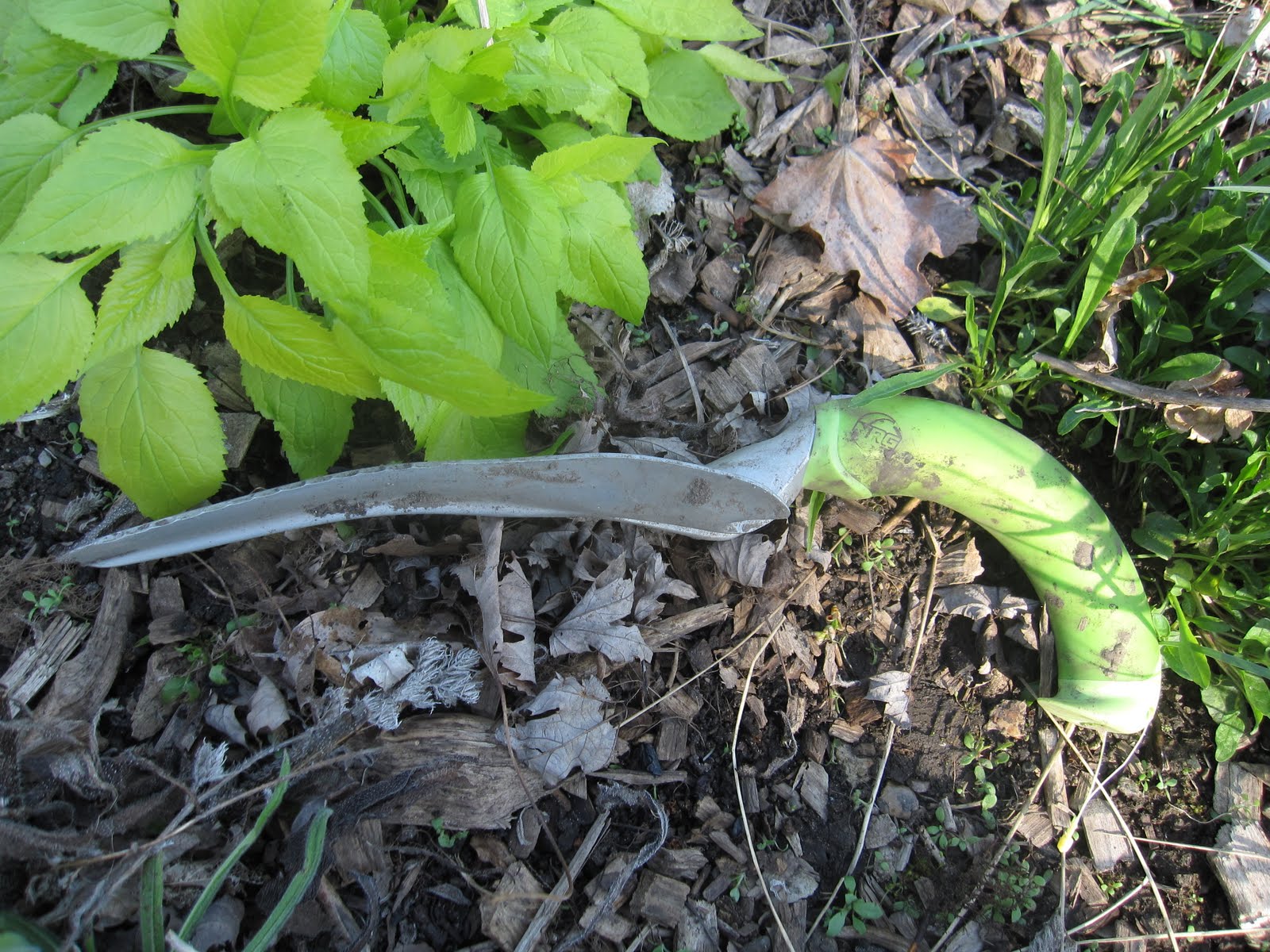 Arrowhead Alpines Blog: Hand weeding/digging tools -- a product review