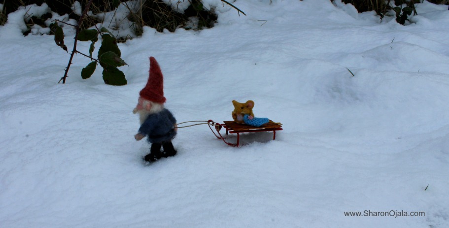 Where The Gnomes Live