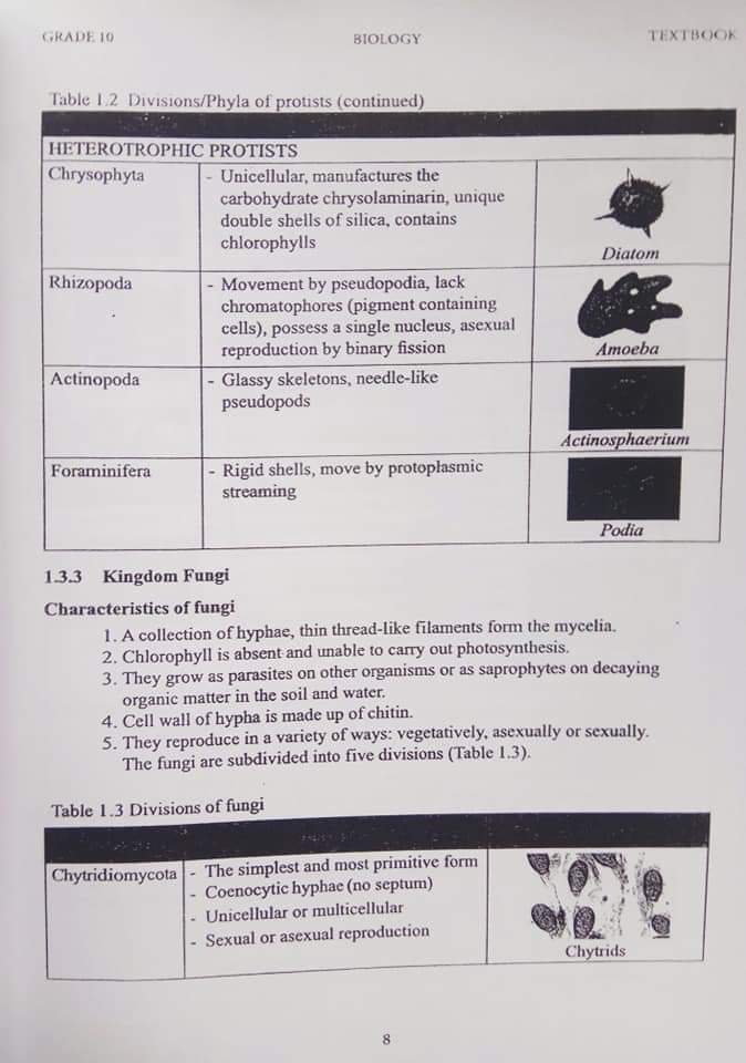 Edu Grade 7 သတ္တမတန်းသင်ရိုးသစ် သင်္ချာ ၂