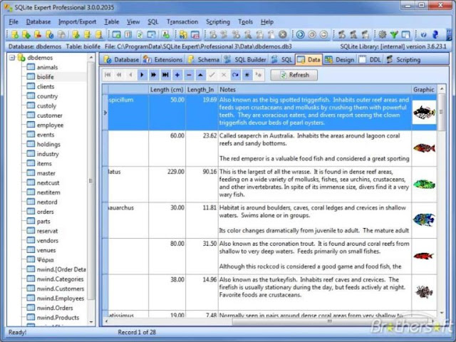 Sqlite Professional 1 0 28 – Advanced Sql Editor - truenup