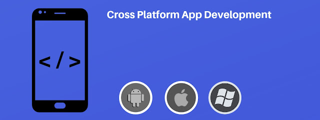 What's the value of owning cross platform software