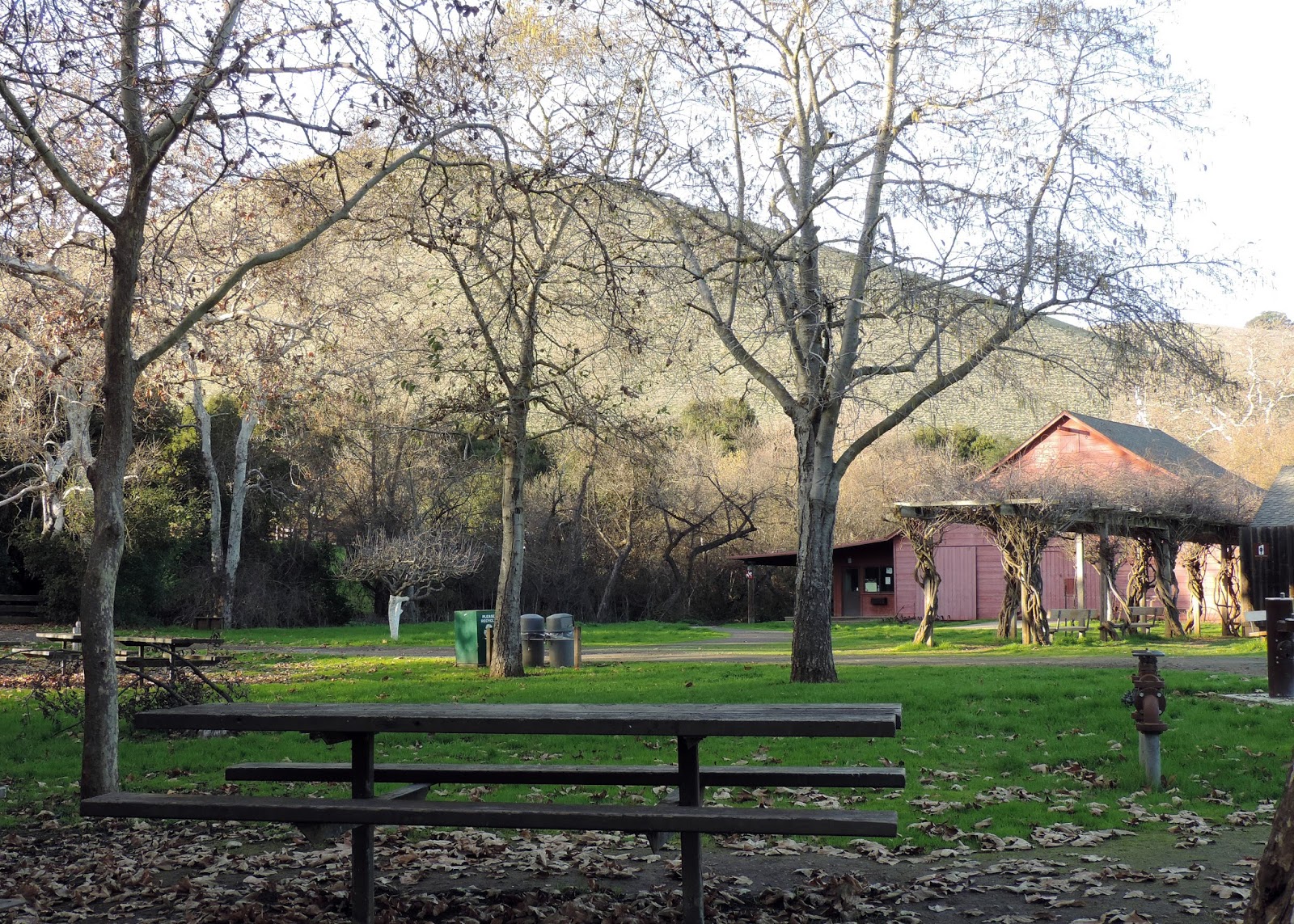 Eden By The Bay: Garin Regional Park