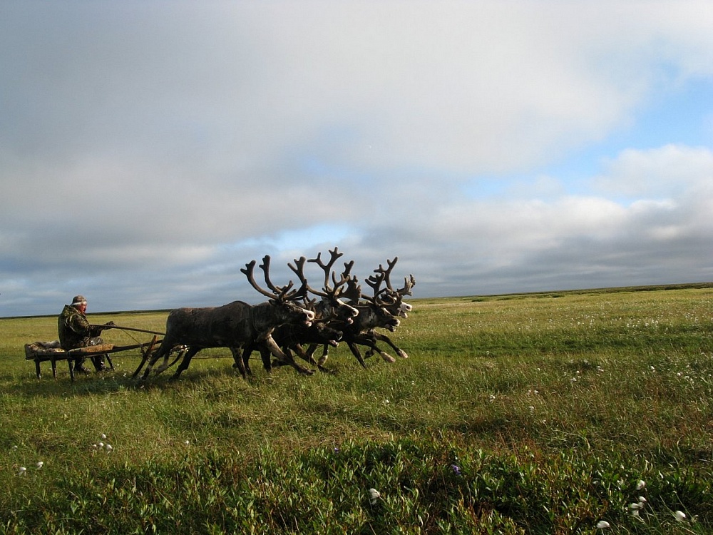 Islas del Mundo: Kolgúyev