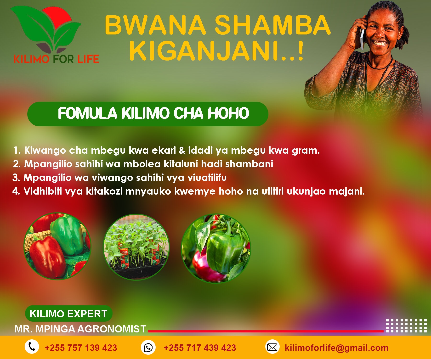 MUONGOZO MFUPI KILIMO BORA CHA PILIPILI HOHO