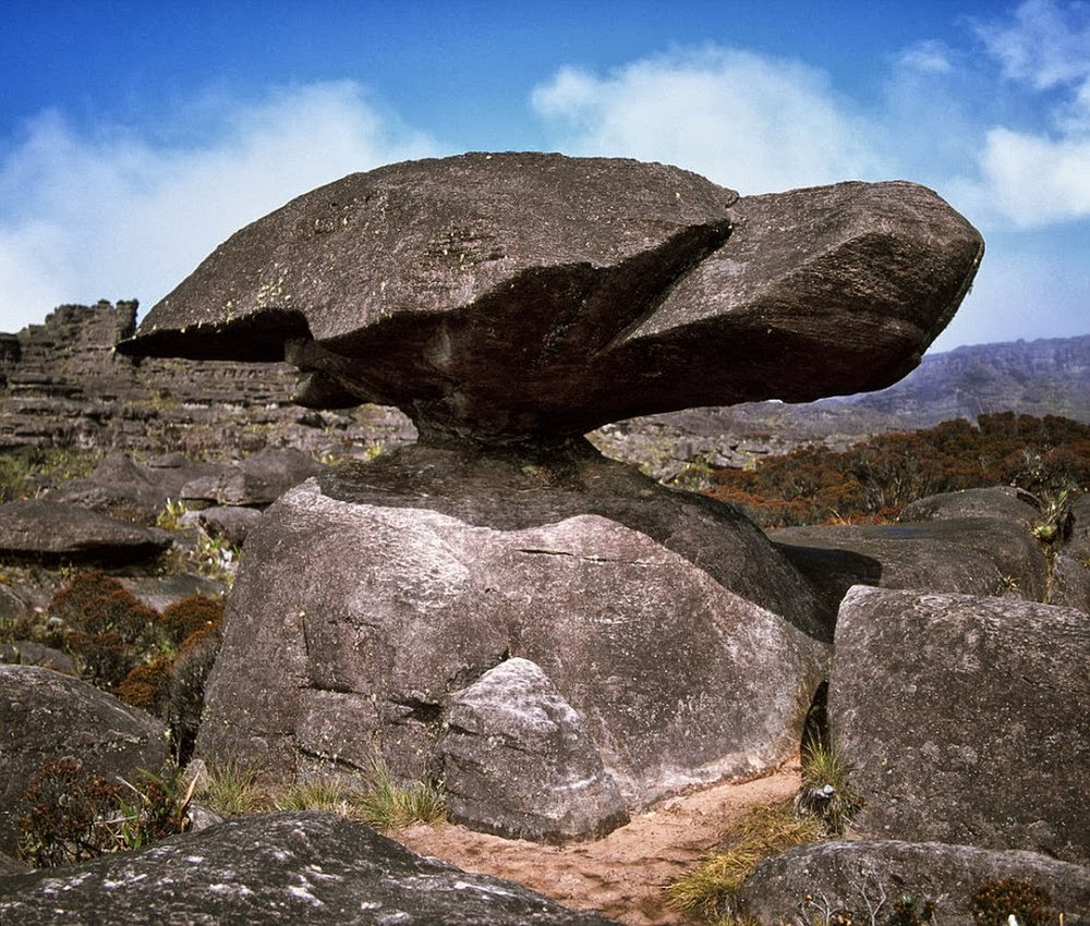 Lost World- Mount Roraima