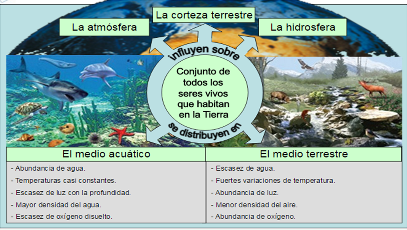 Capas de la Tierra ~ Con-CIENCIA