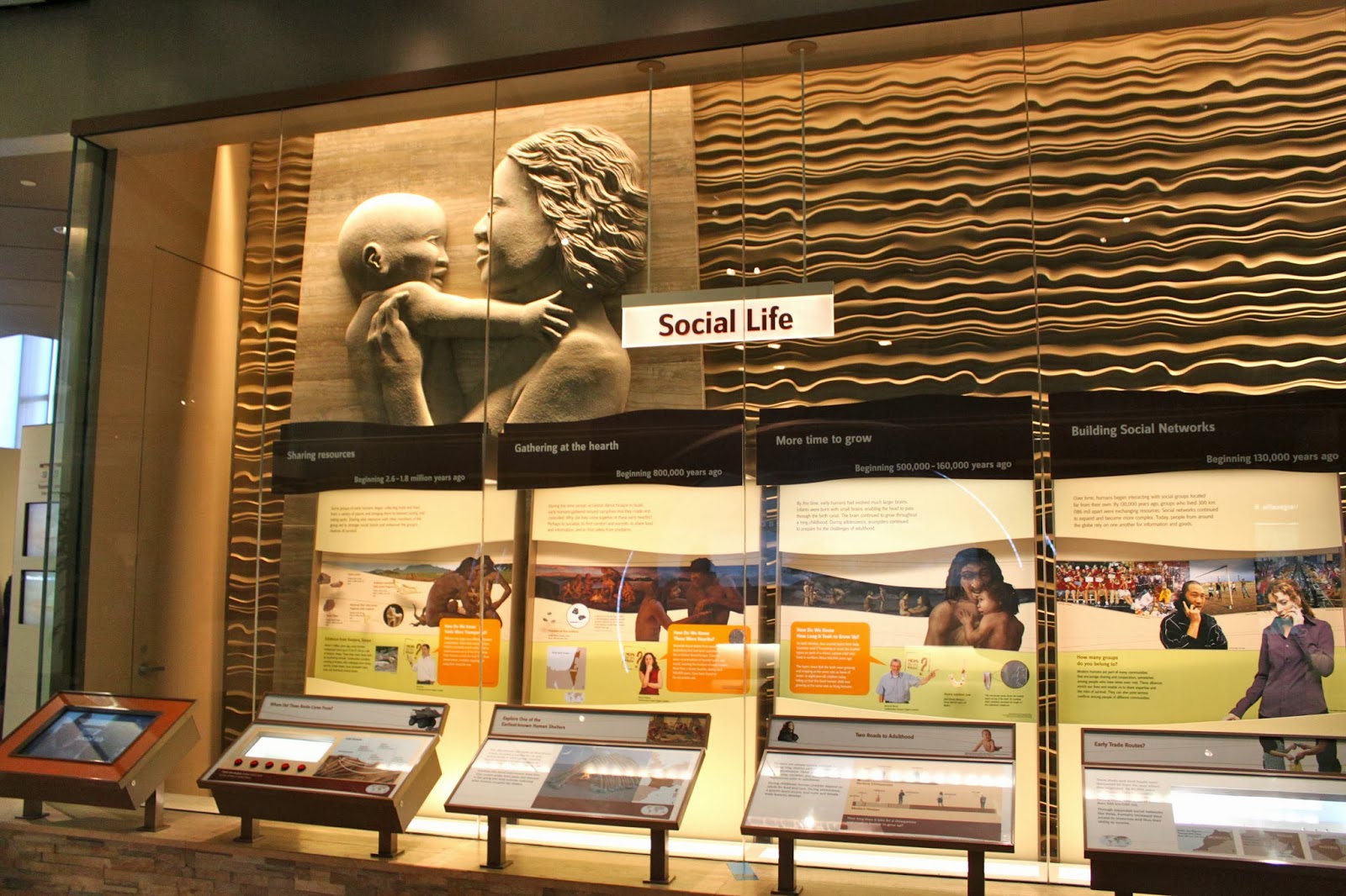 Exhibit Life: What makes us human? The Hall of Human Origins
