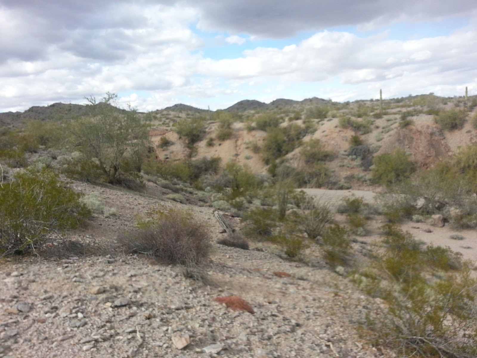 Sarah & Kevin's Excellent Adventure: Agua Caliente Scenic Drive