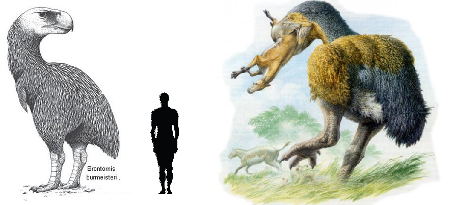 Escenarios prehistóricos: 06/09/11