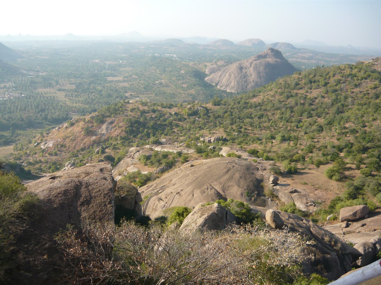 Vanasiri....: Vanasiri photos