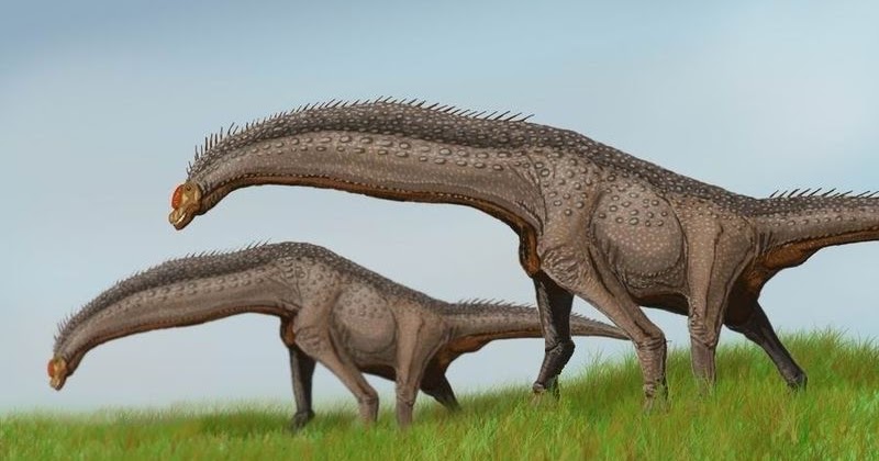 Equatorial Minnesota: Your Friends The Titanosaurs, part 13: Isisaurus ...