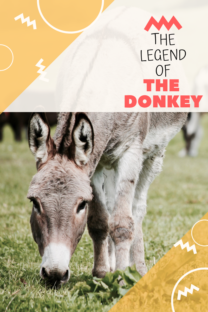 The Legend of the Donkey