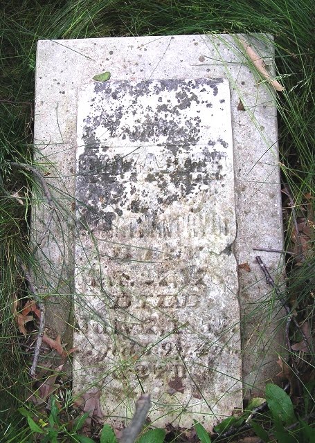 Tombstone Travels: The Pryors of Pryorsburg