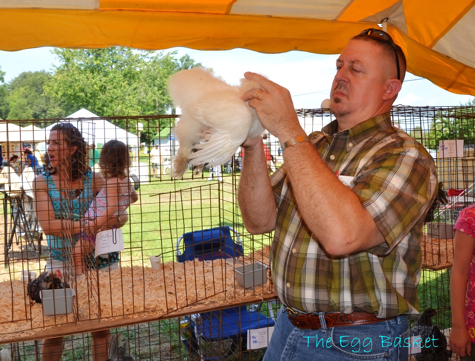 Ginger Snaps Girls : It's Show Time Part 3- Preparing Chickens for the Show