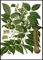 Un turista en El Salvador: Cordillera El Bálsamo