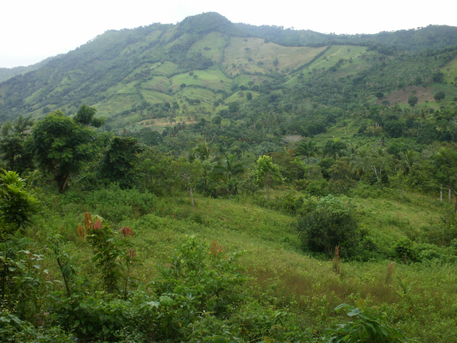 Espejismo de Luna Llena: El Chacaro, Yamasa.