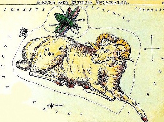 WAY OF STAR: Symbols of the Sky – ARIES