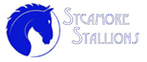 Sycamore Elementary PTA : Calendar