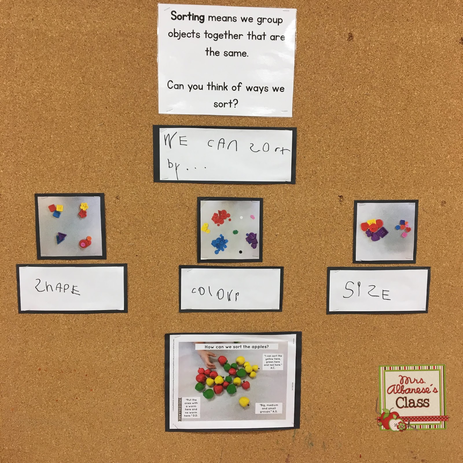 Sorting in Kindergarten | Mrs. Albanese's Kindergarten Class