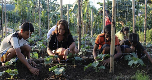 Marinduque Rising: While changing the narrative of farming in PH, Agrea ...