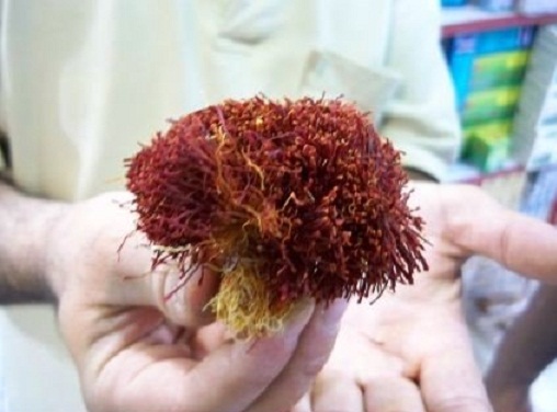 AJORBAHMAN'S COLLECTION: Saffron or Za’faran and what to do with it