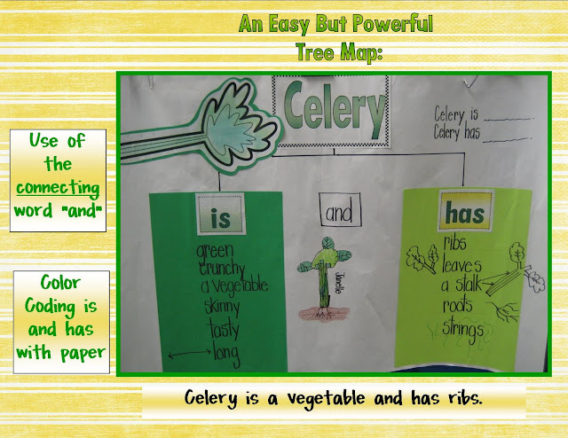 Kindergarten Crayons: Tree Maps Are Growing In My Kinder Room