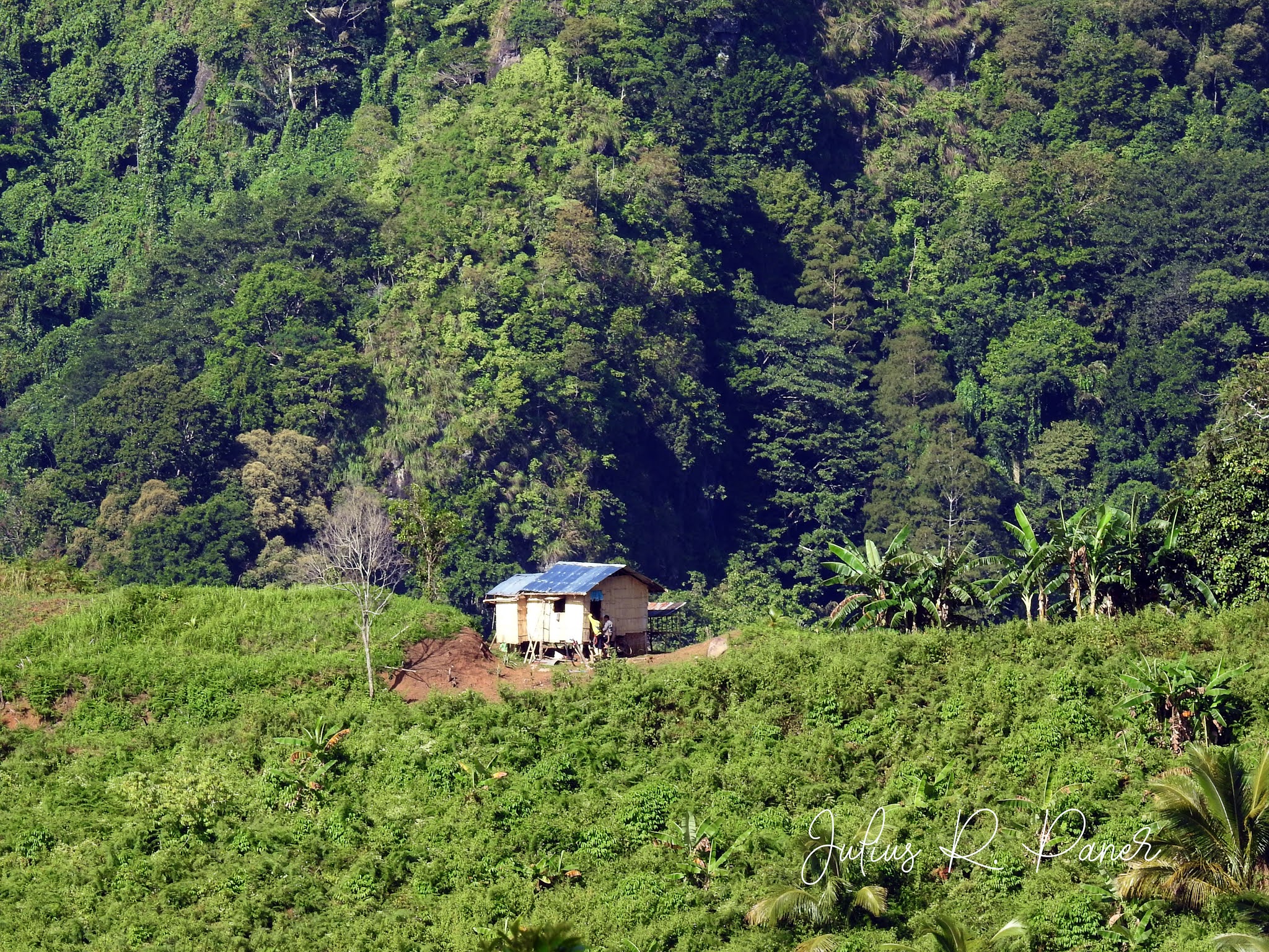 LOGSAC: Mt. Dinor Traverse Day Hike, Sinoron Sta. Cruz (1,274 MASL)