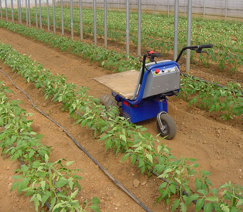 Electric wheelbarrow Zallys Brio