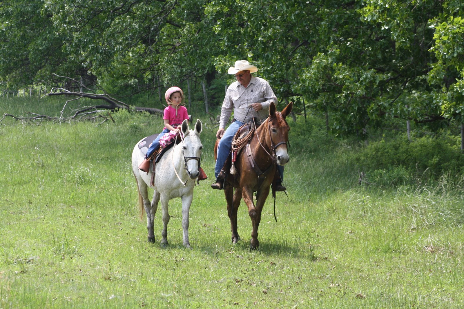 PairADice Mules: Trail Riding