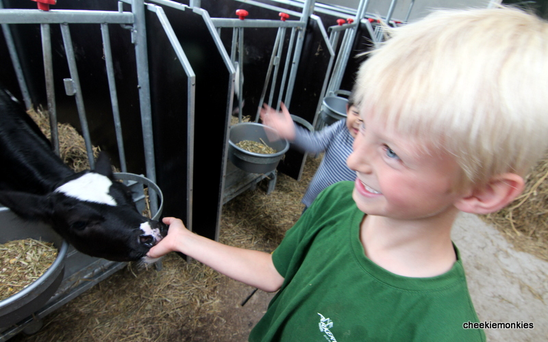 Cheekiemonkies: Singapore Parenting & Lifestyle Blog: Cheekiemonkies in ...