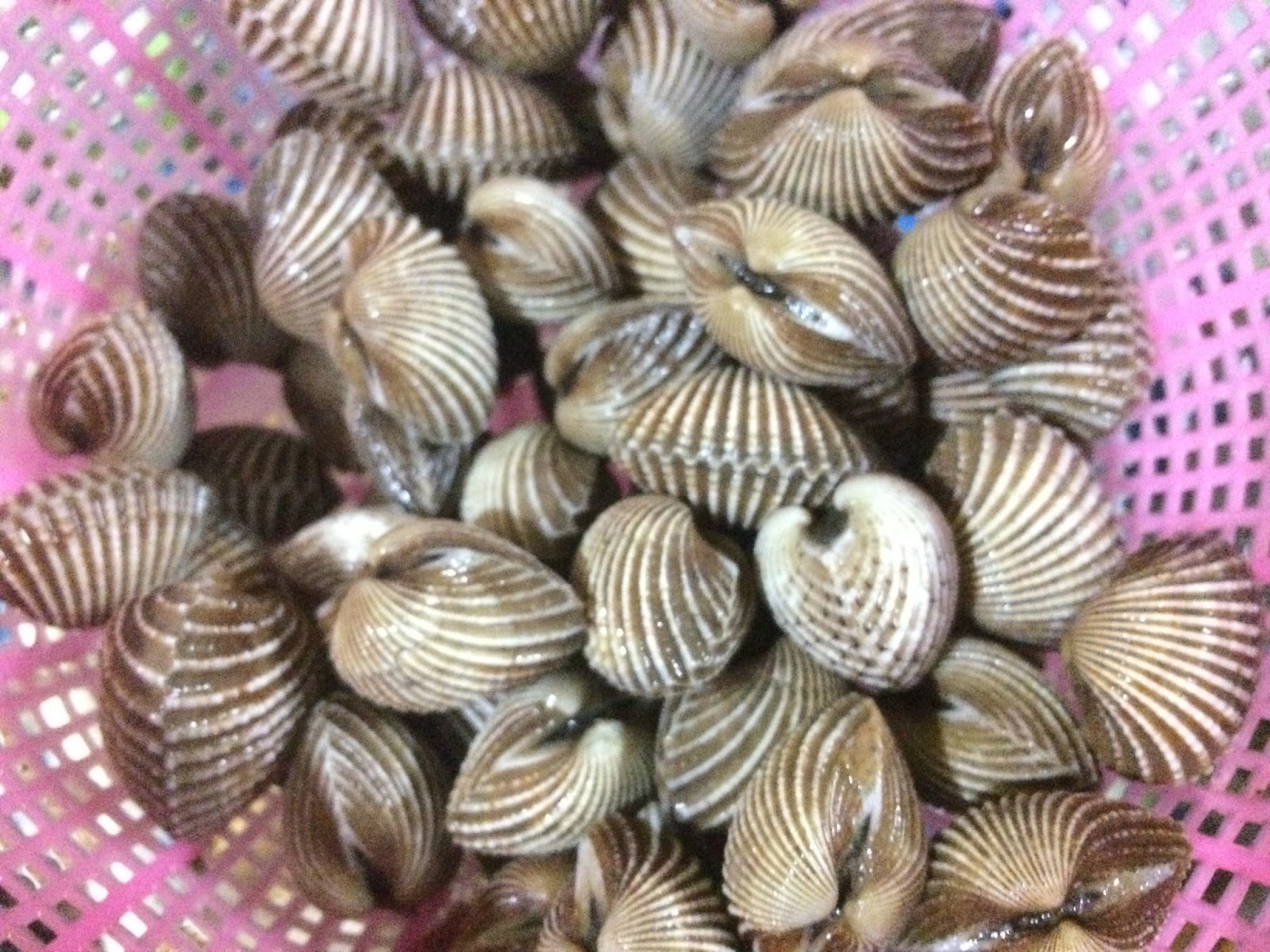 Sajian Kerang Darah Mang Ujang Bikin Lidah Bergoyang