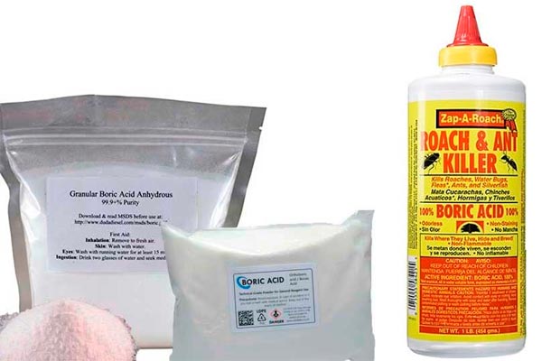 How to Get Rid of Roaches Naturally