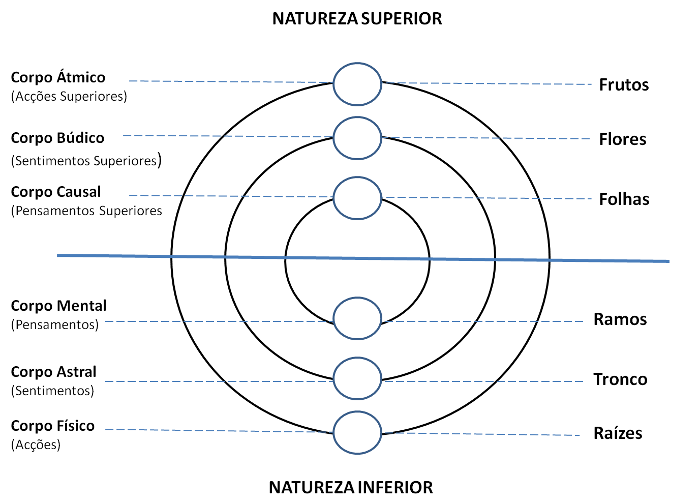 Etiqueta Arco-íris: O HOMEM e a ÁRVORE