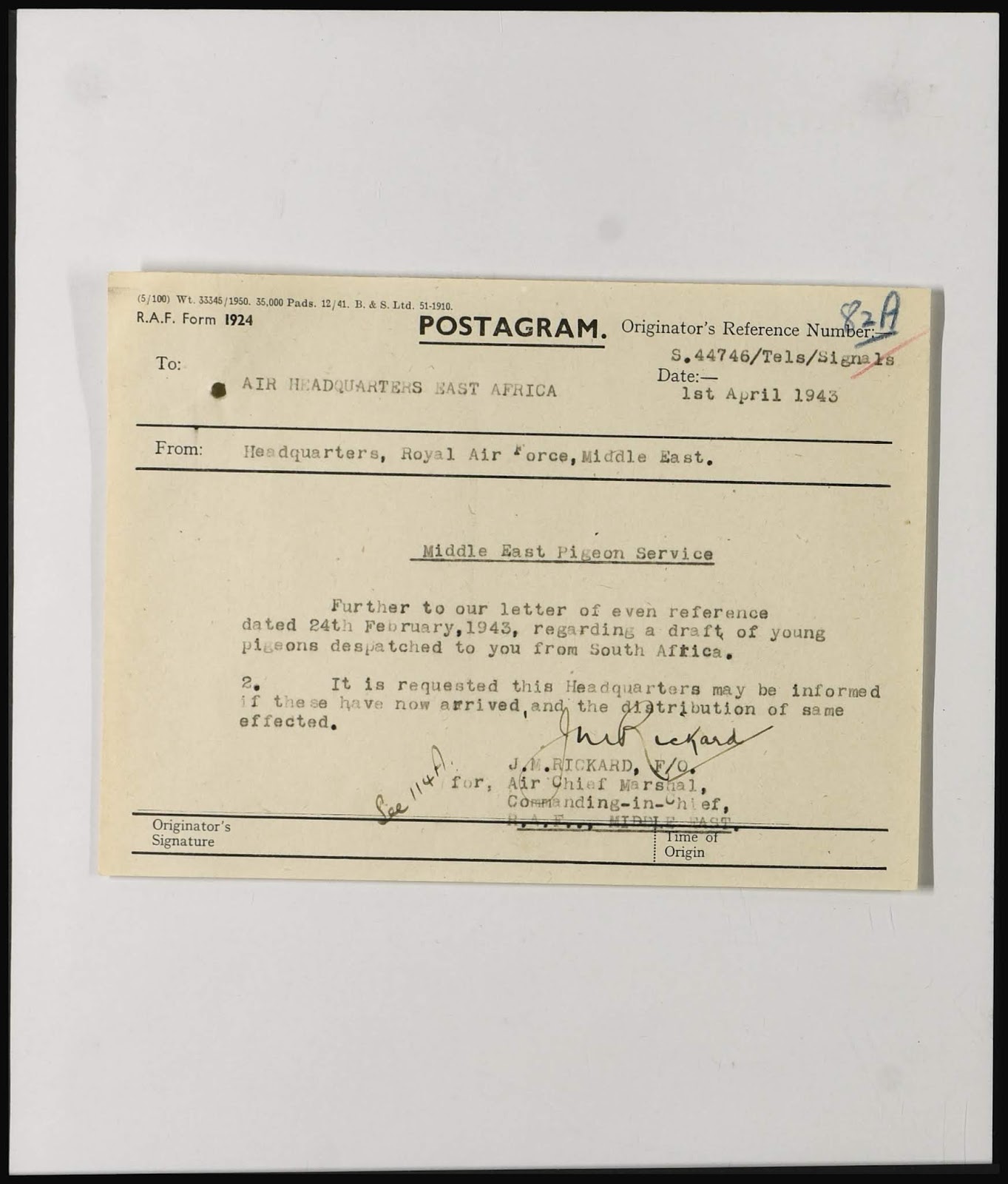 World War 2 History and the WW2 Pigeons: Have the pigeons arrived ...