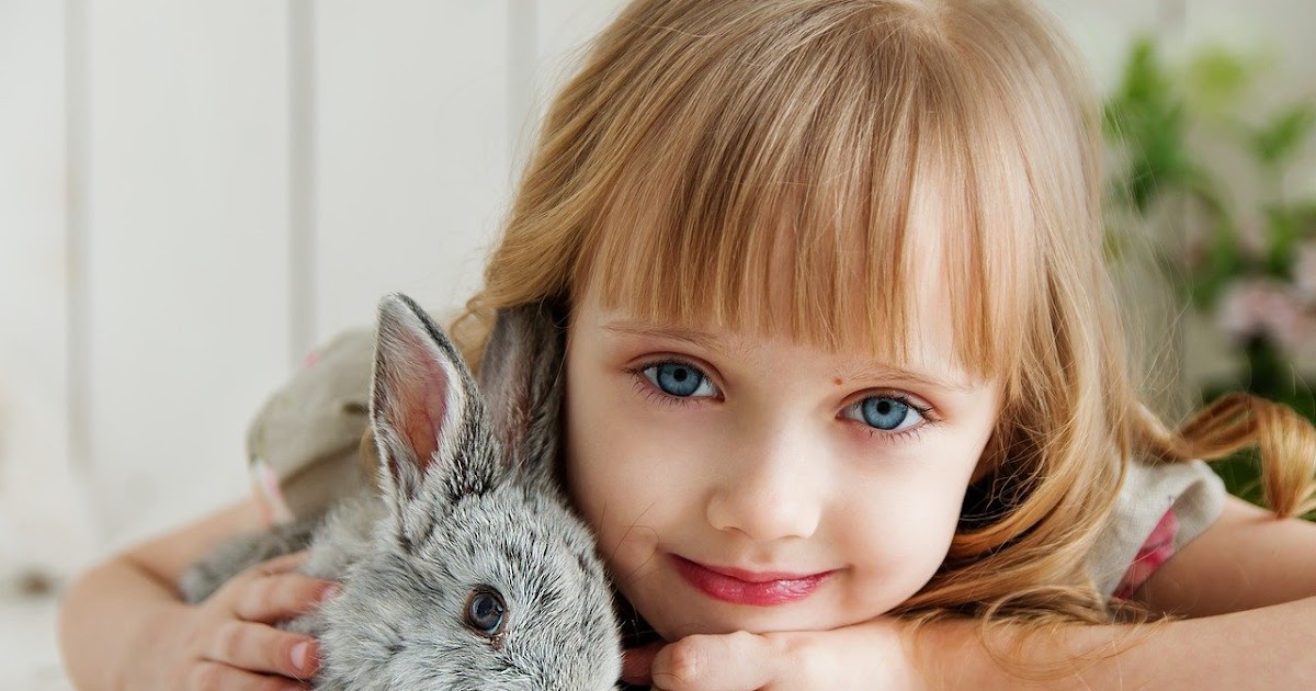 ¿Cuáles son las mascotas más comunes? ~ Mas Que Mascotas ≧ ≦ ¿Cuáles son las mascotas más comunes? ~ Mas Que Mascotas ≧ ≦