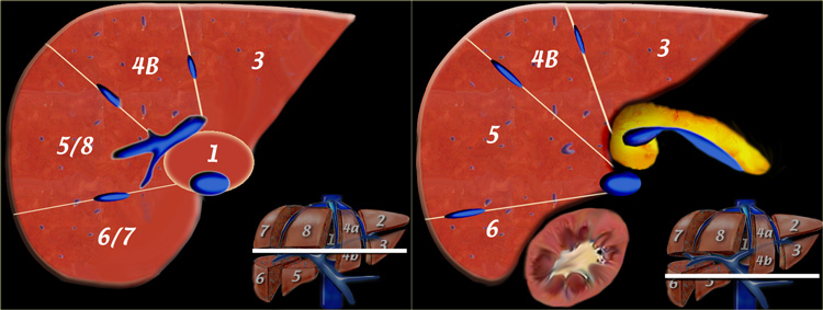 EL RINCÓN DE LA MEDICINA INTERNA. juanpedromacaluso@yahoo.com.ar ...