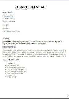 french cv sample free download