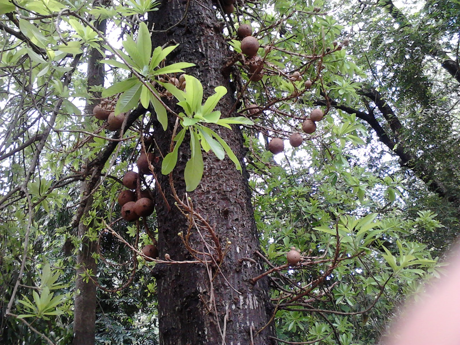 Feng Shui - Simple Cures: Feng Shui Places to visit Travel and Tourism ...